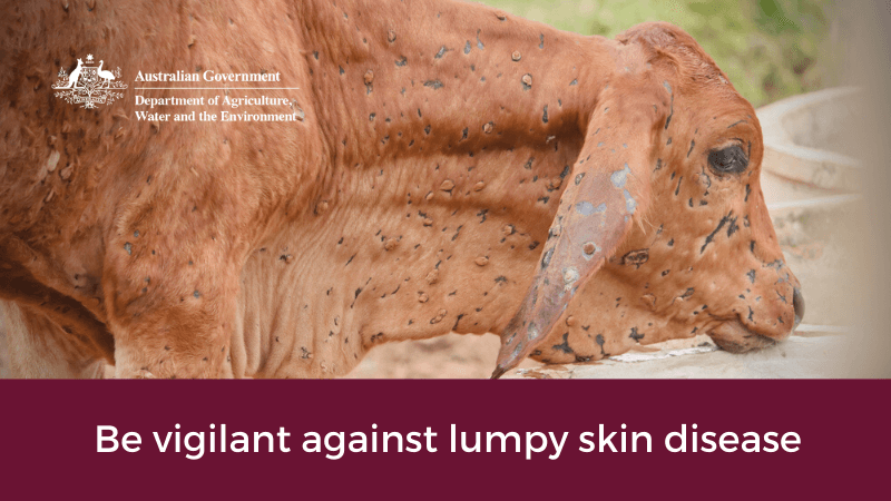 Lumpy Skin Disease - Animal Health Australia
