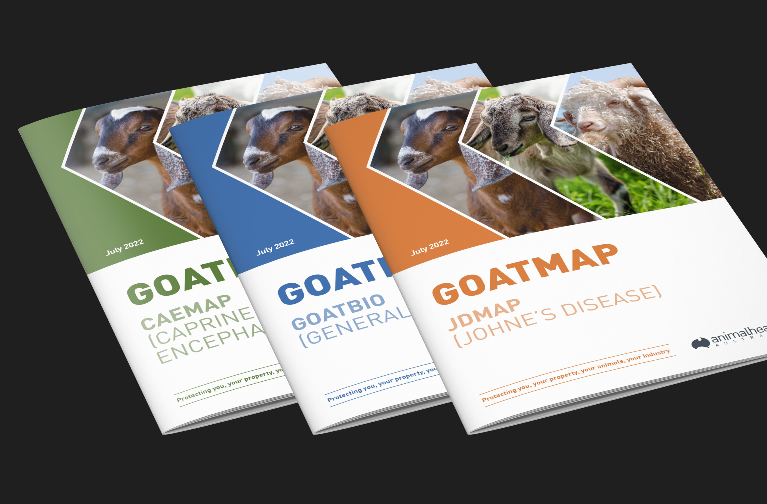 New revamped Market Assurance Program for Goats released - Animal ...