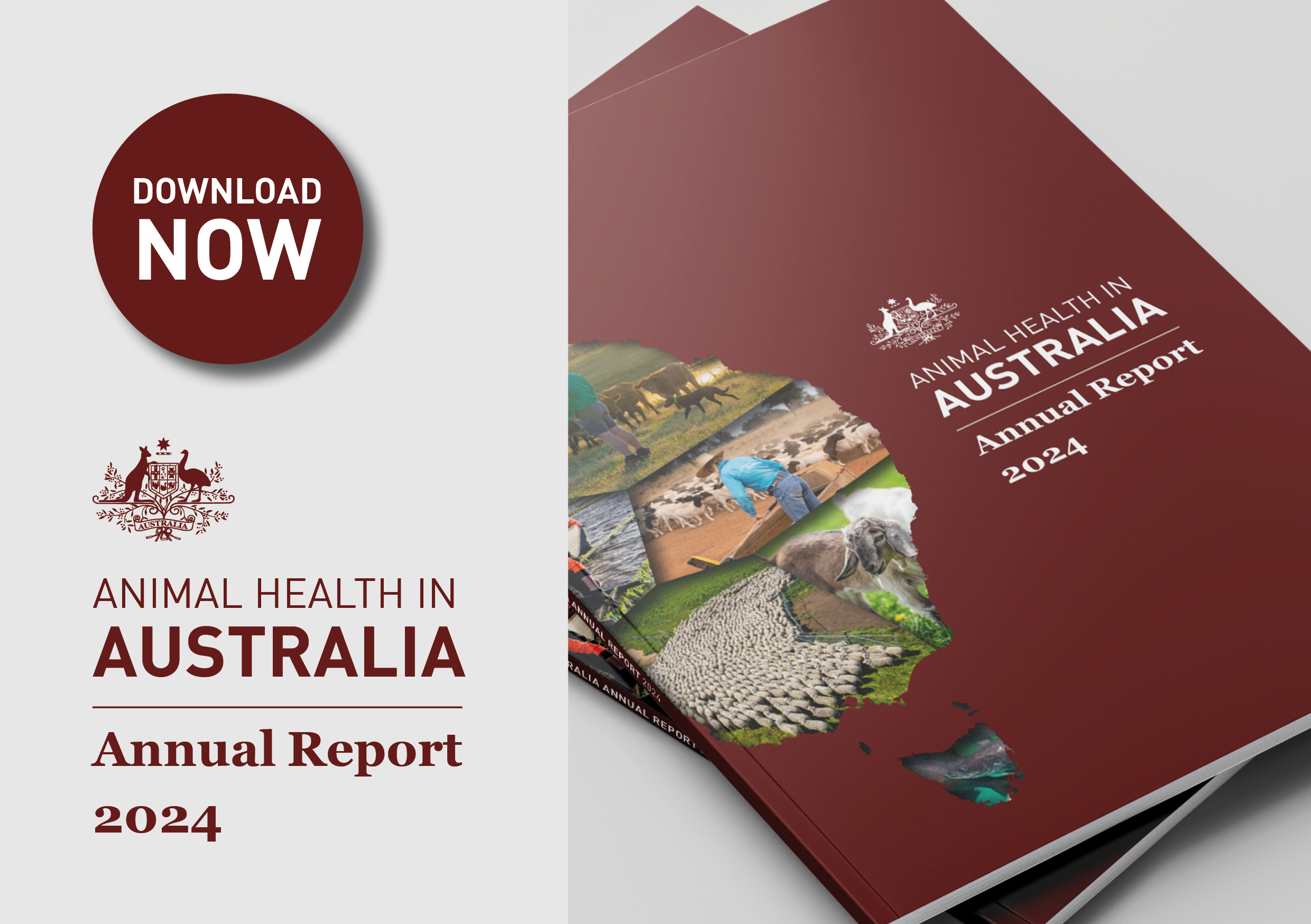 The 2024 Animal Health in Australia Report is out now! - Animal Health Australia