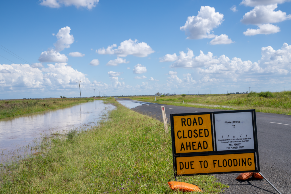Disaster relief and recovery resources for livestock producers - Animal ...