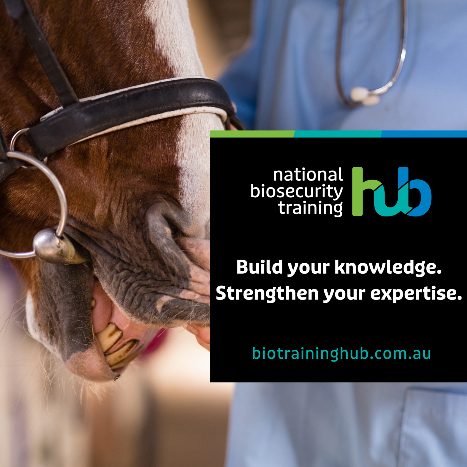 From paddock to port: biosecurity training for everyone - Animal Health ...
